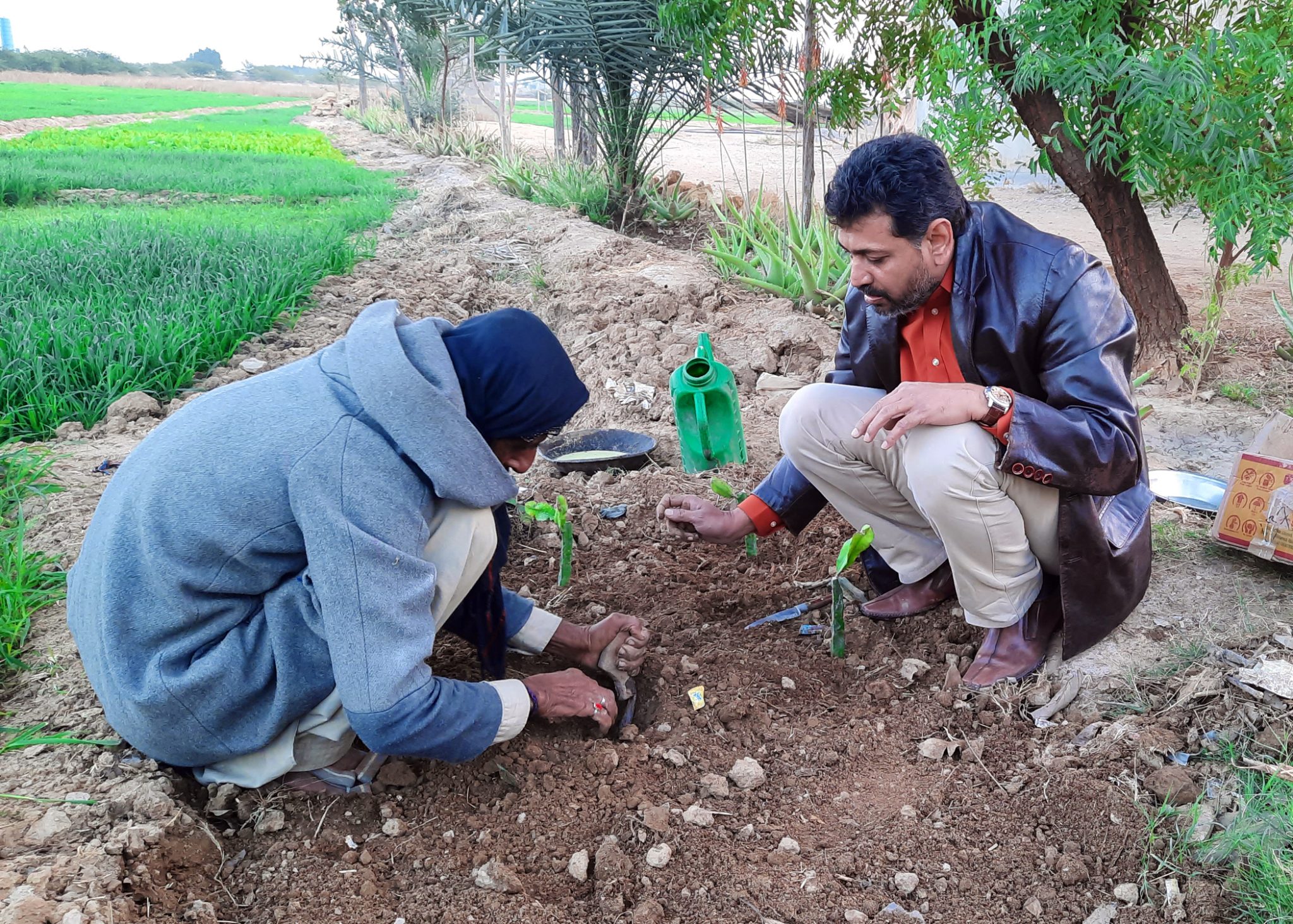 Plantation Program – DUA FOUNDATION